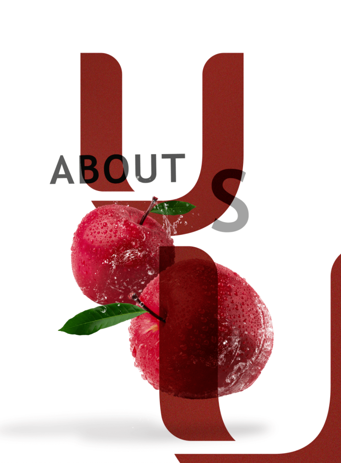 Max Mark – Food Investment