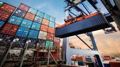 Egypt’s Agricultural Exports Hit Record 7.5 Million Tons of Produce in ...